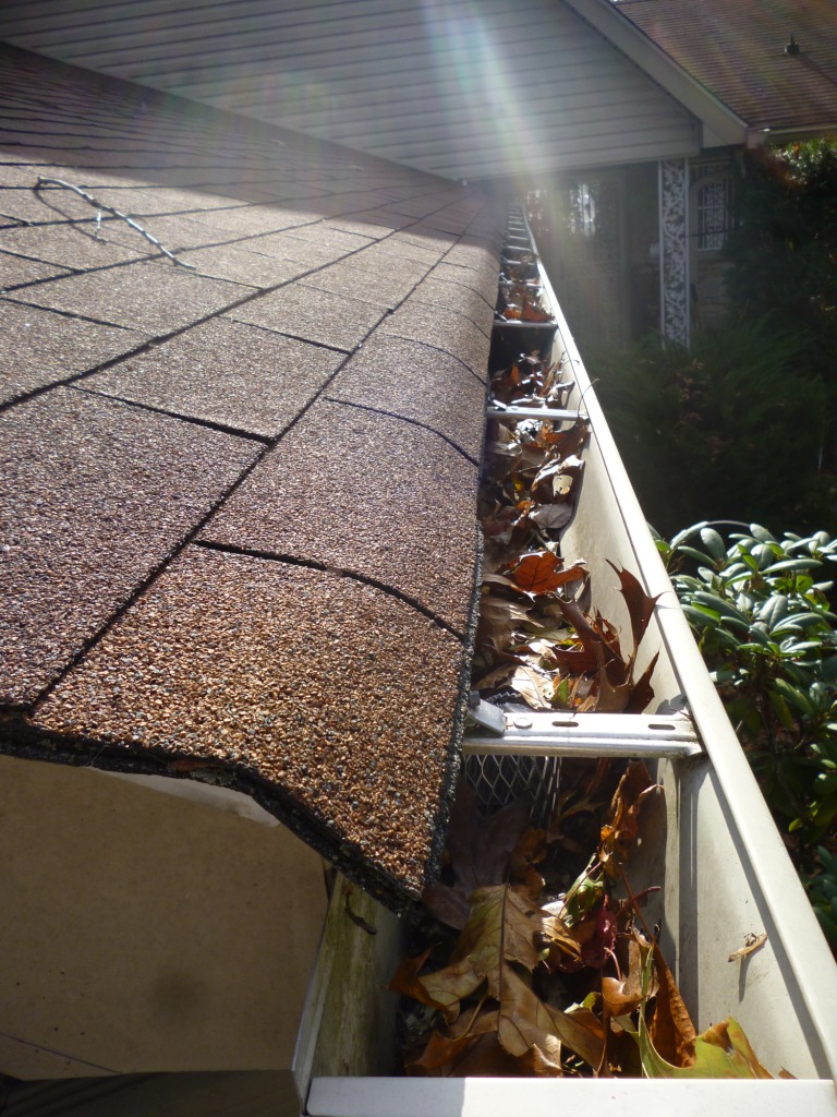 Gutter Cleaning Company in Baltimore